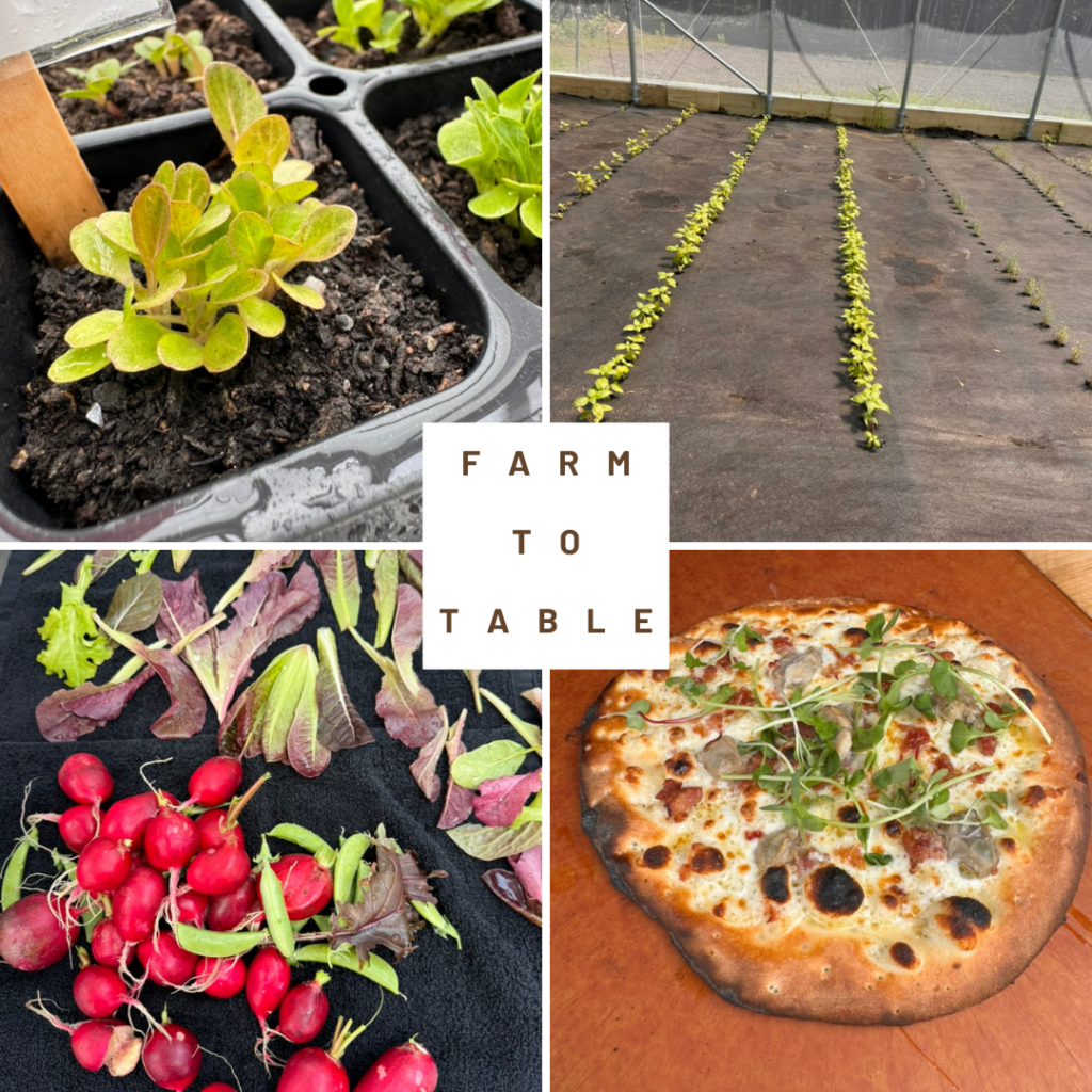 Farm-to-Table Catering and Vintage Mobile Bars by Rustic Taps